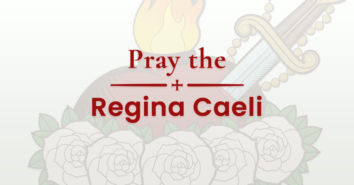 Regina Caeli - Beneath the Broom Tree