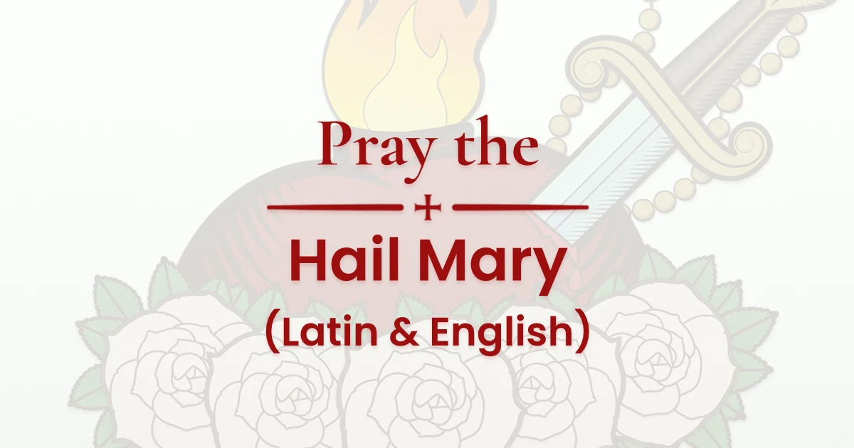 Hail Mary In Latin and English - Beneath the Broom Tree